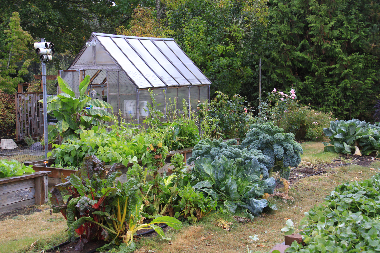 Open Gardens – Clackamas County Master Gardener™ Association