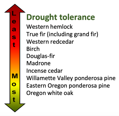 Summer Watering Guide for Mature Trees – Clackamas County Master ...