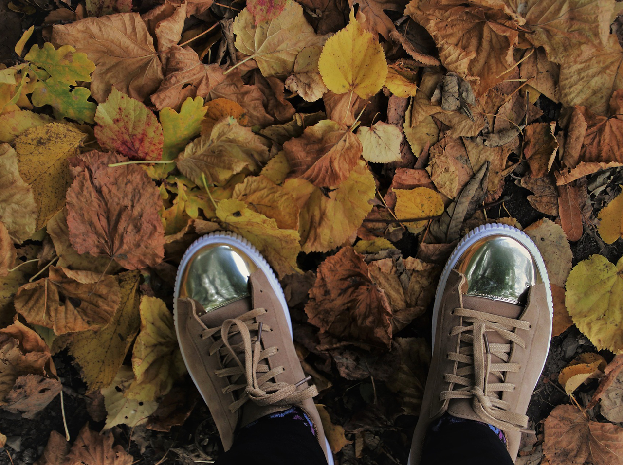 Leave the Leaves – Why and How – Clackamas County Master Gardener ...