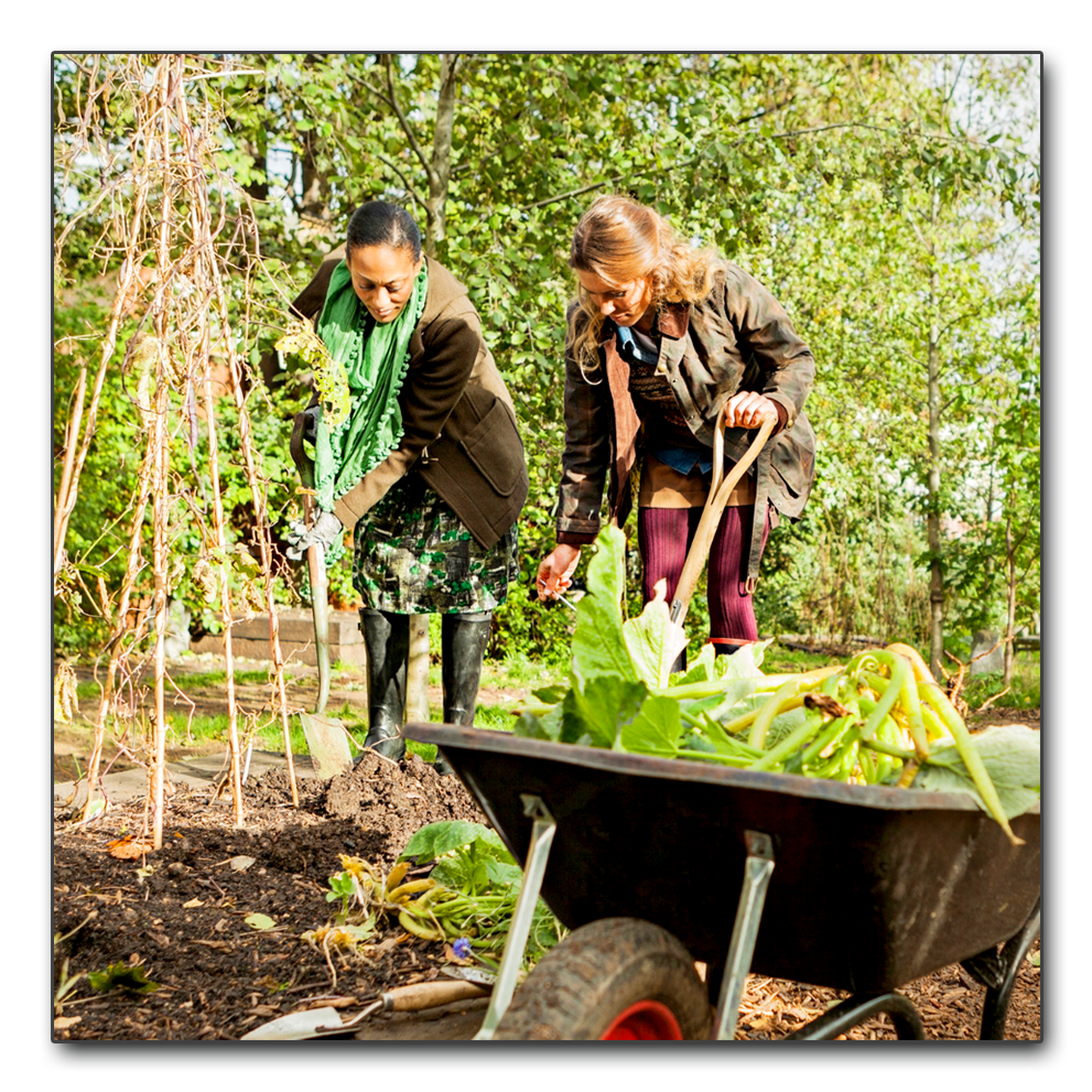 Lecture Series – Clackamas County Master Gardener™ Association